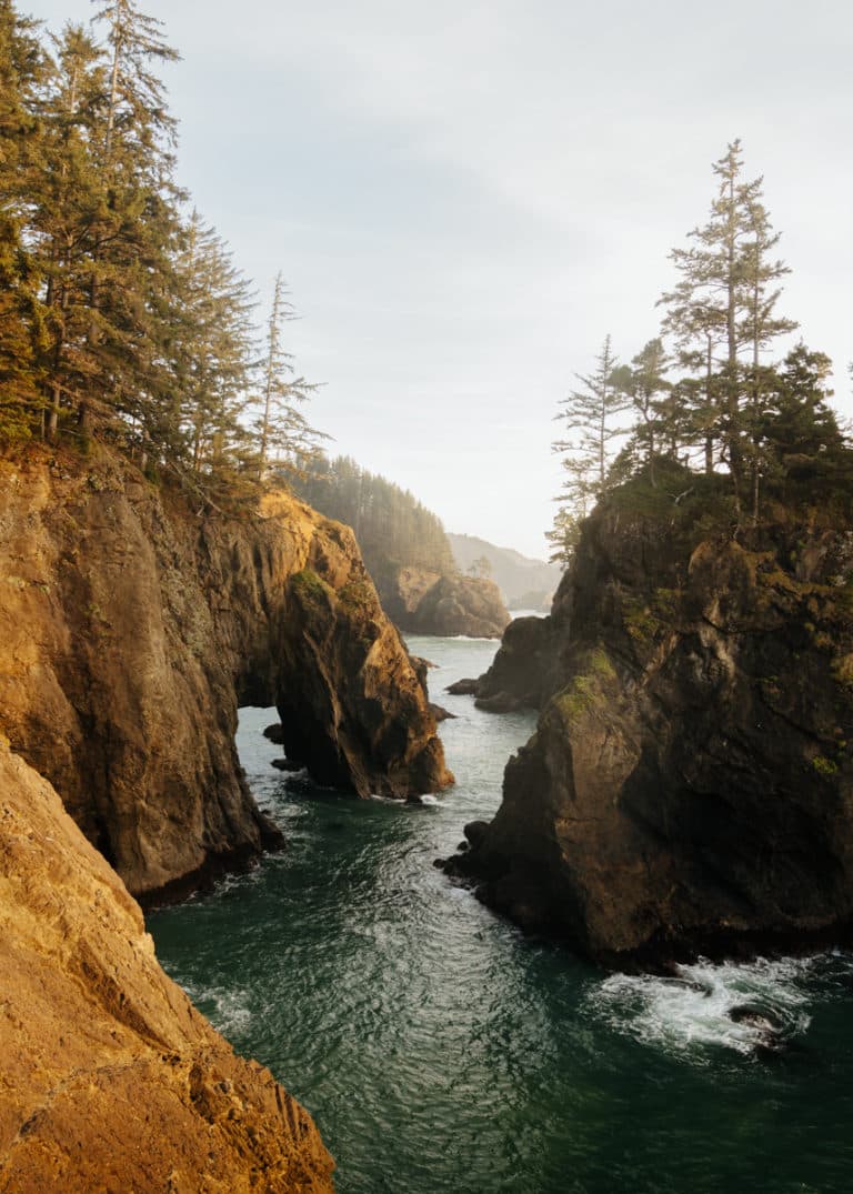 12 Best Hikes on the Oregon Coast for Insane Ocean Views · Anna Tee
